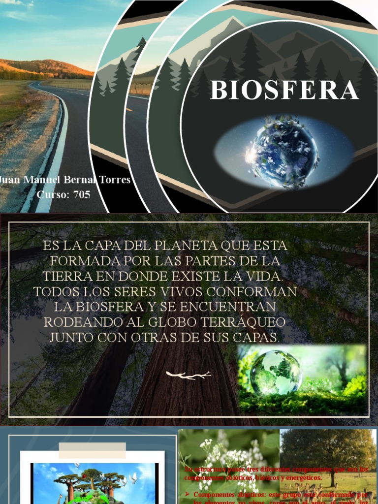Presentacion Biosfera | PDF | Tierra | Ecología