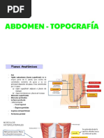 Inervación e Irrigación del Esófago y Estómago | PDF | Estómago | Esófago
