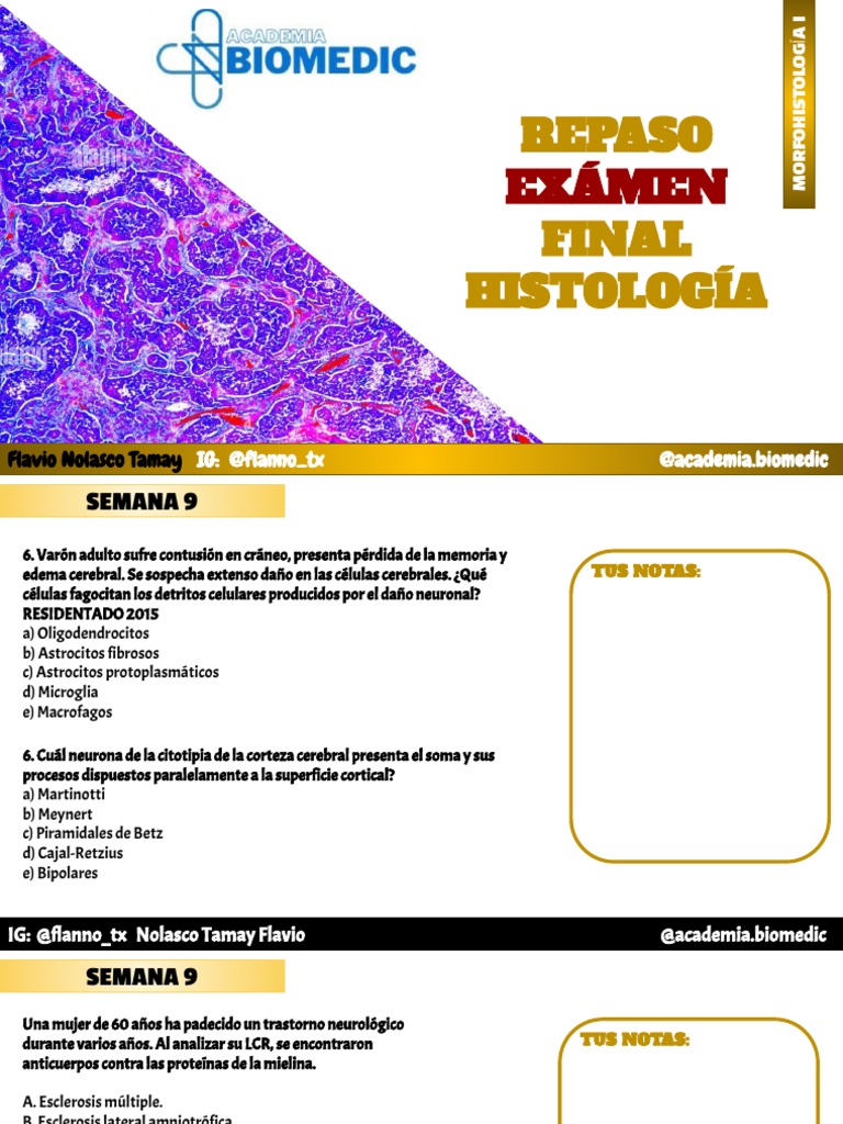 Morfohisto I - Banqueo Final | PDF | Hormona estimulante de la tiroides | Tiroides