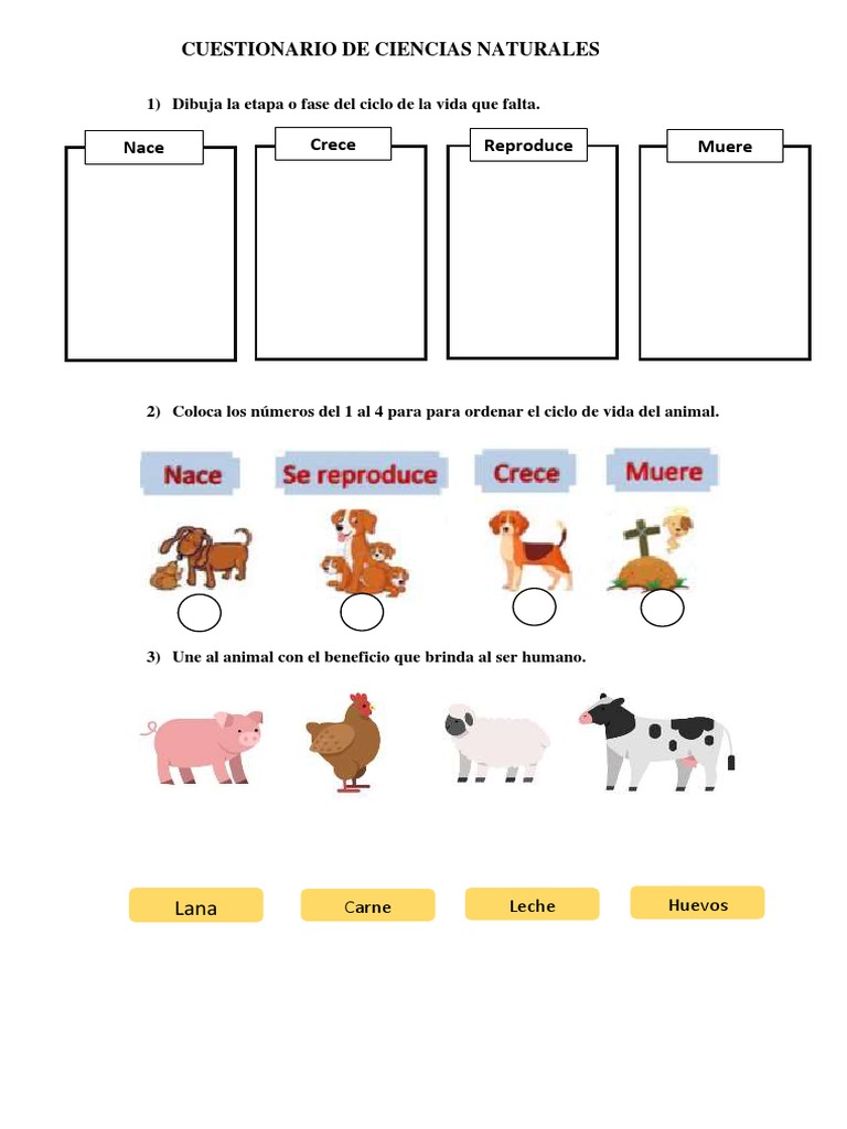 Ciencia y Sociales | PDF