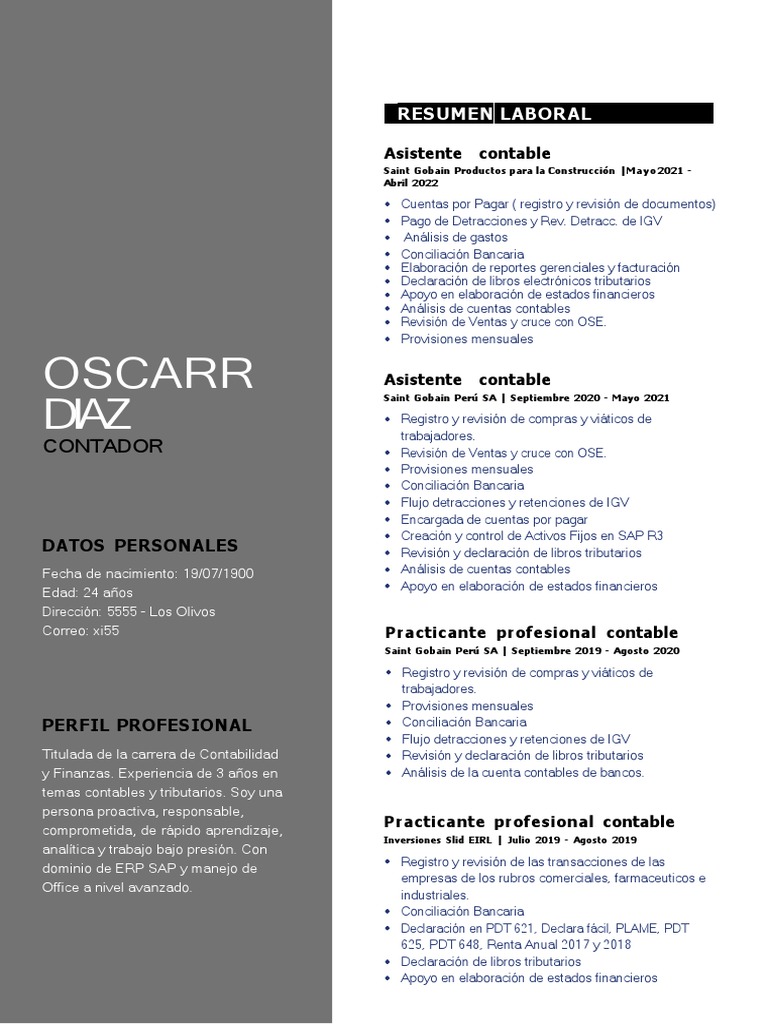 Modelo CV | PDF | Contabilidad | Contador