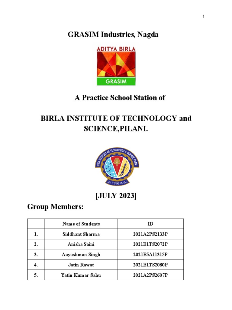 Grasim Compre Report | PDF | Rayon | Fibers