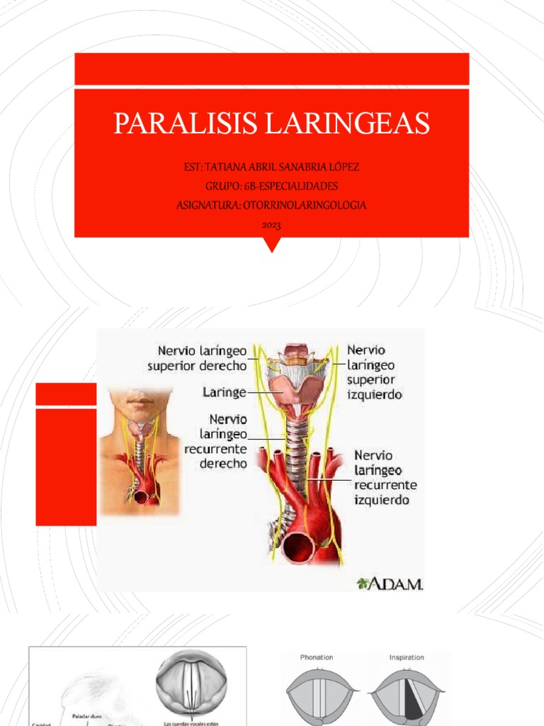 Paralisis Laringeas | PDF | Tos | Medicina