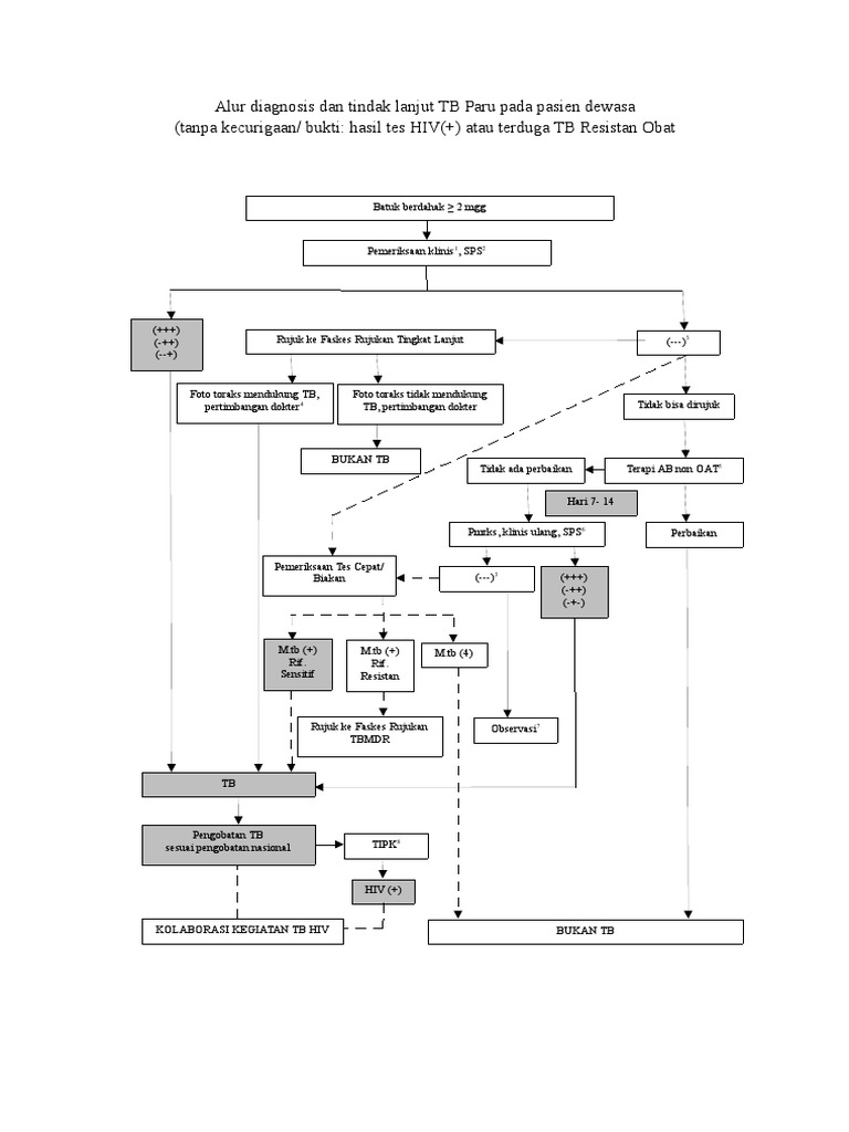 Bagan Alur Diagnosis TB | PDF