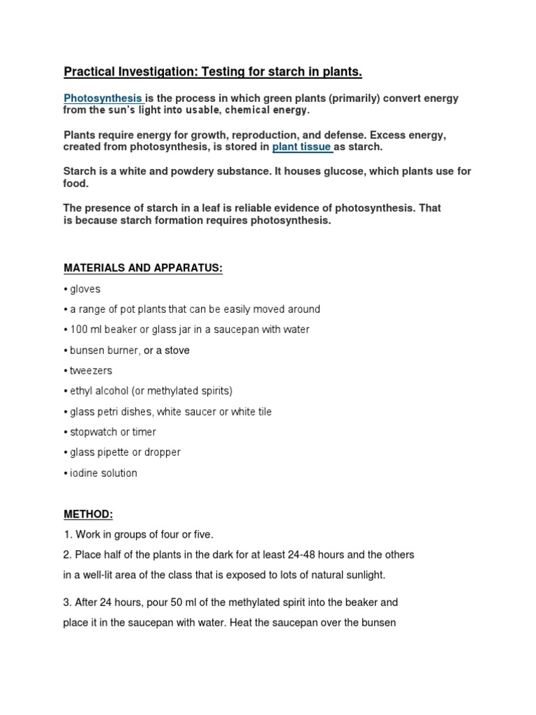 Practical Investigation - Handout | PDF | Starch | Chloroplast