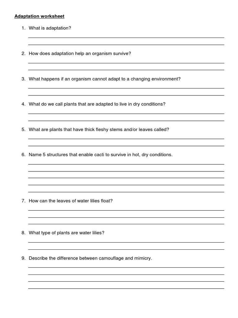 Adaptation Worksheet | PDF