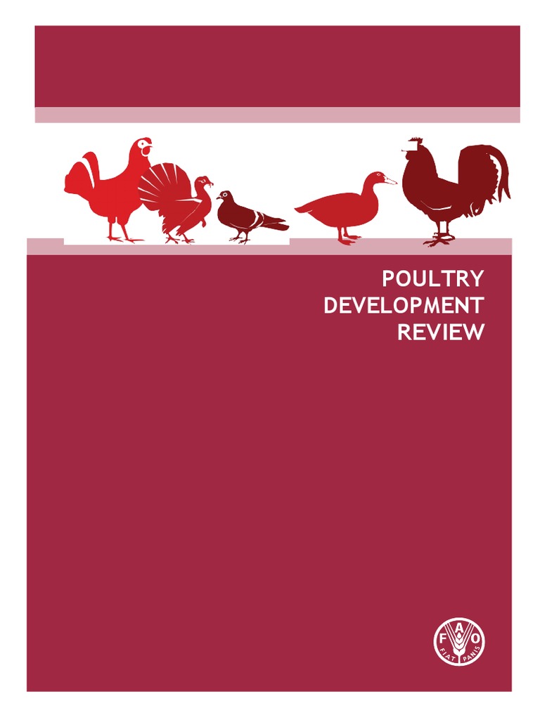 Poultry PDF | PDF | Meat | Fat