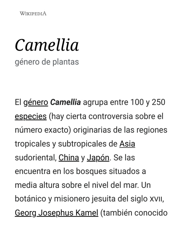 Camellia - Wikipedia, la enciclopedia libre | PDF | Plantas | Botánica