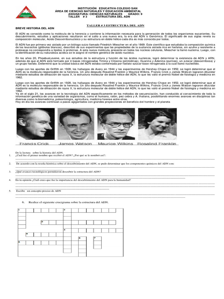 Taller #3 Estructura Del Adn | PDF | Adn | Nucleótidos
