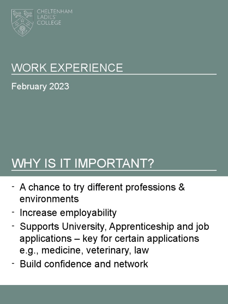 Work Experience Presentation | PDF | Internship | Job Hunting
