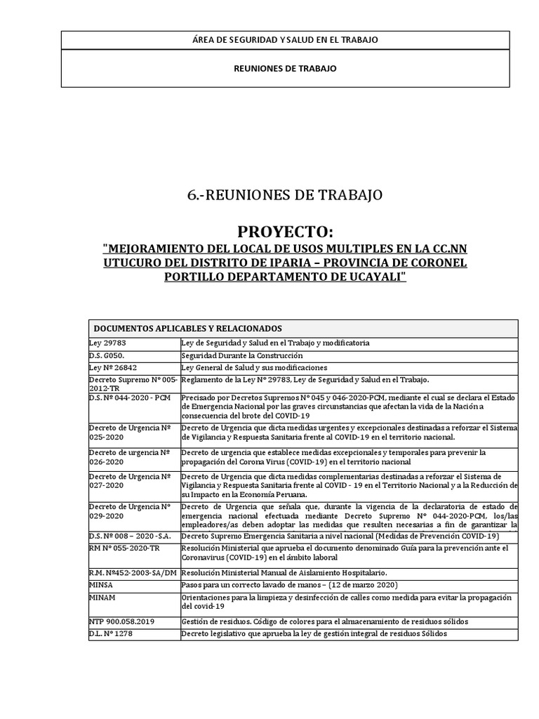 Prot. de Seg. #06-CR20 REUNIONES DE TRABAJO - REV2 | PDF