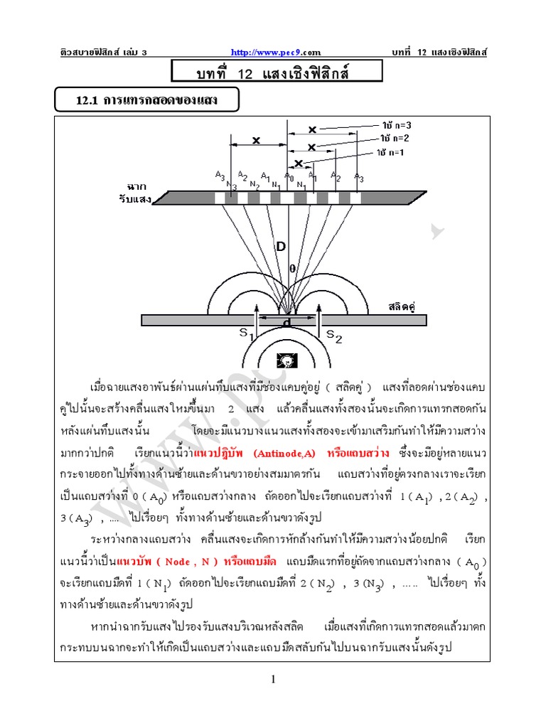Pec 9 | PDF