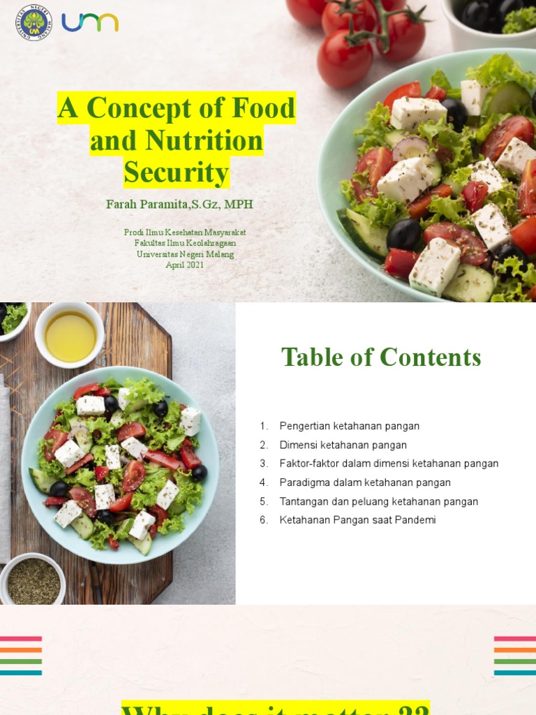Food and Nutrition Security Overview | PDF | Food Security | Sustainability