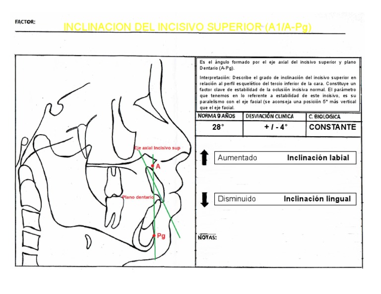 Factor de Cefalometria Faltante | PDF Factor de Cefalometria Faltante | PDF