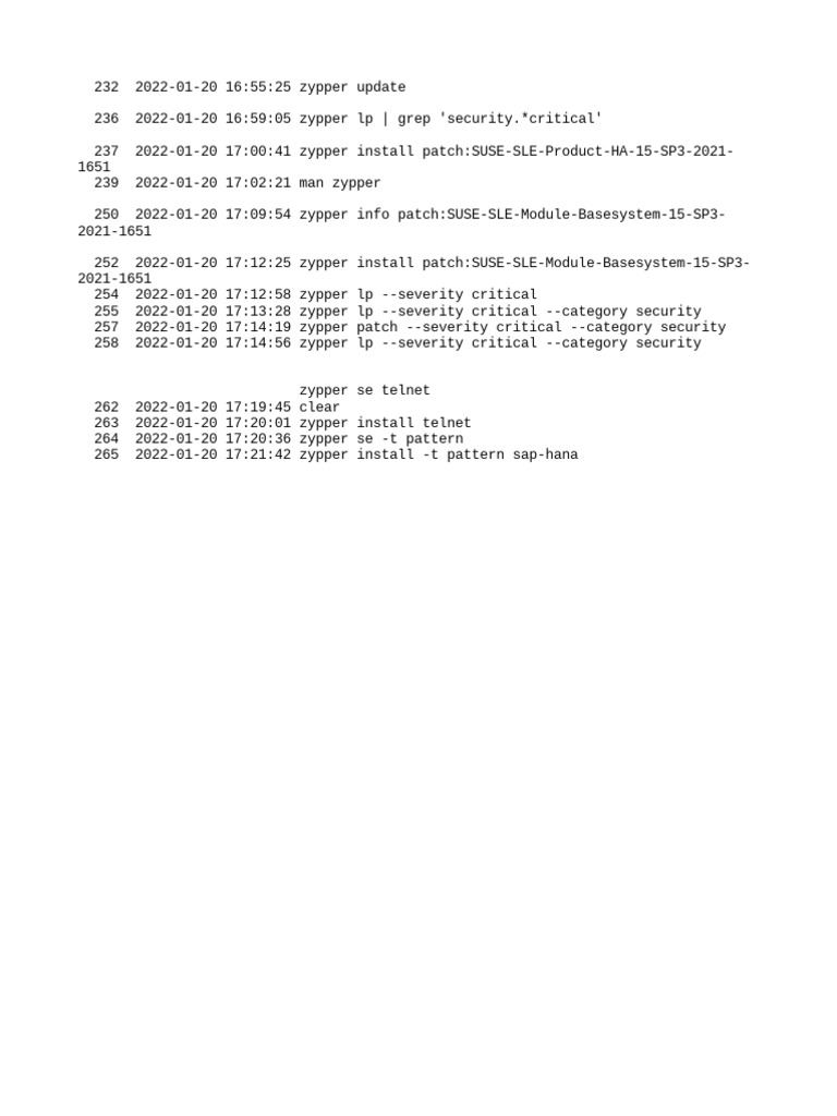 Zypper Patches | PDF