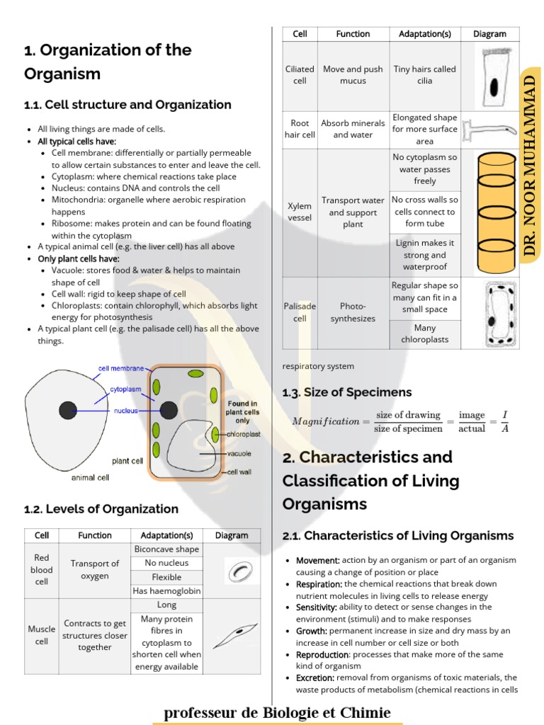 O Bio Summarize Notes For Revision | PDF | Cell (Biology) | Organisms