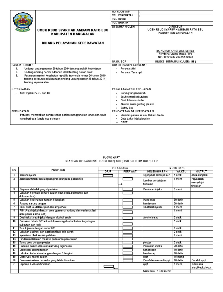 1.sop Injeksi Im | PDF