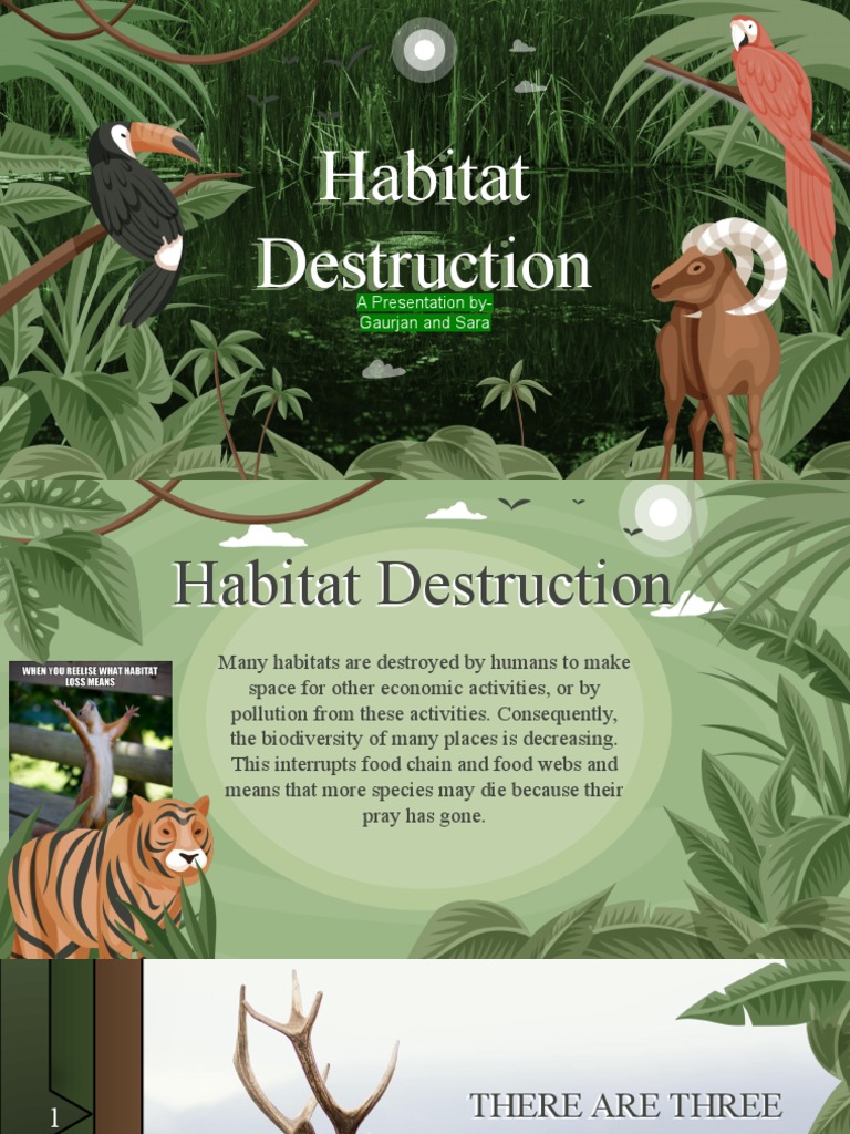 Habitat Destruction | PDF | Soil | Deforestation