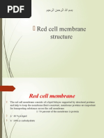 BFM 2000 Treatment Schema | PDF | Hematopoietic Stem Cell ...