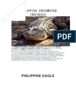 Endangered Animals in the Philippines | PDF