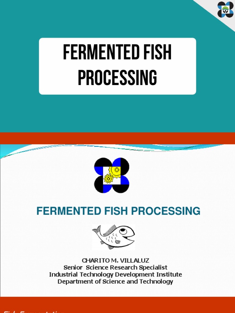 Fermented Fish Processing in the Philippines | PDF | Food Industry ...