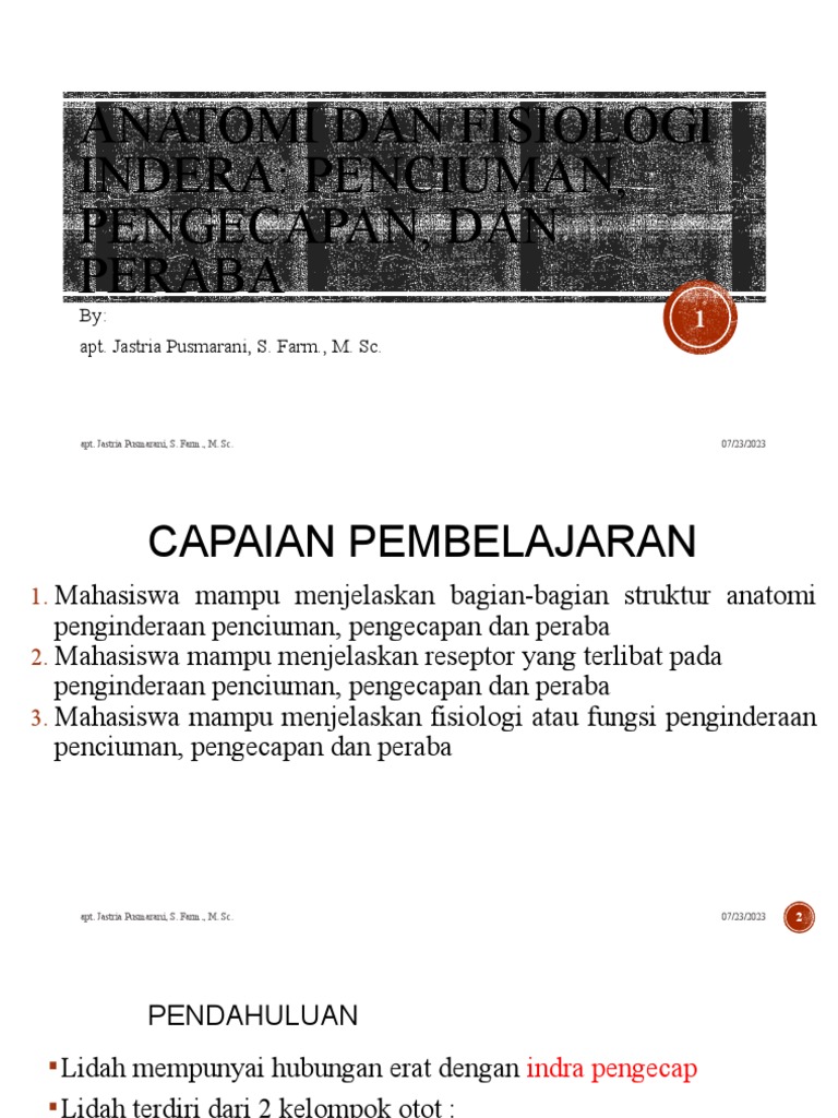 Anatomi Dan Fisiologi Indera: Penciuman, Pengecapan, Dan Peraba | PDF ...