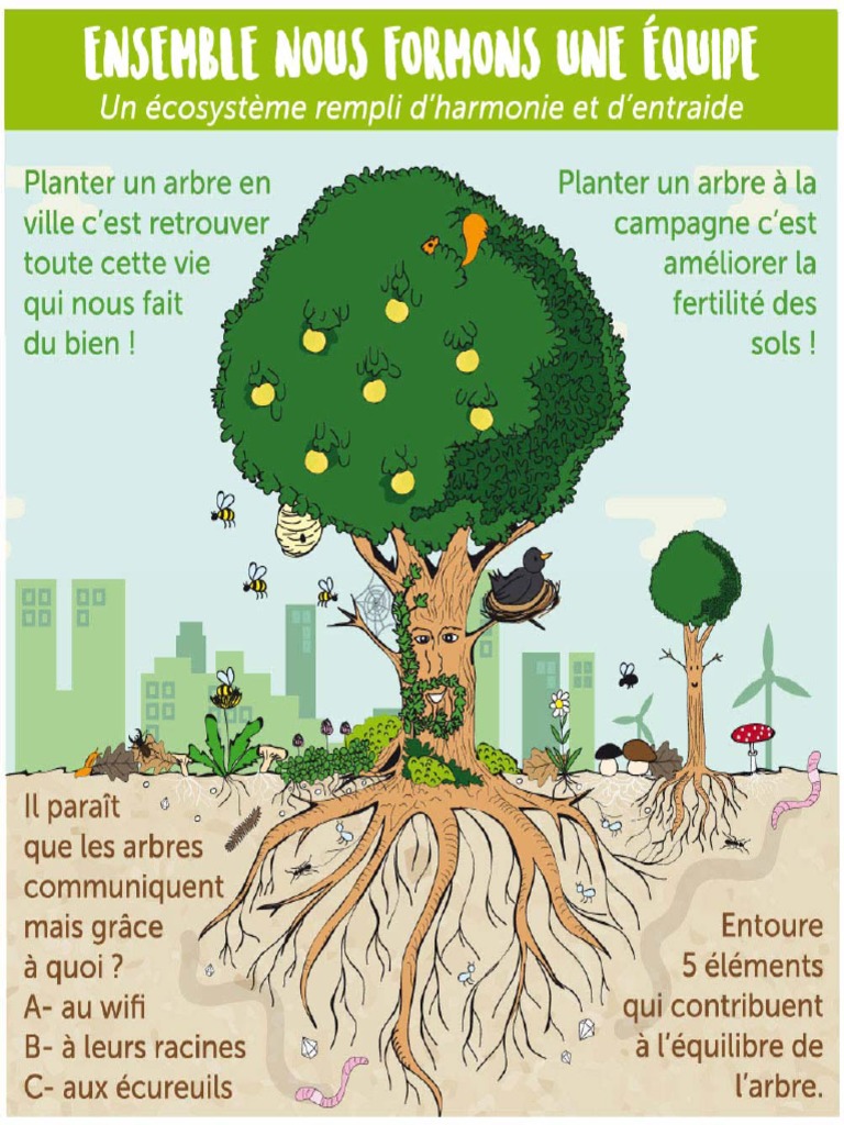 PAE Ensemble Nous Formons Une Equipe | PDF