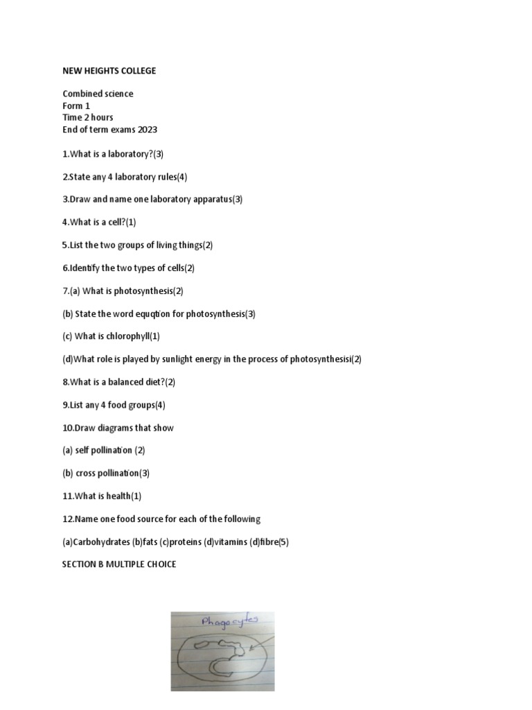 Form 1 Combined Science Exam Paper | PDF