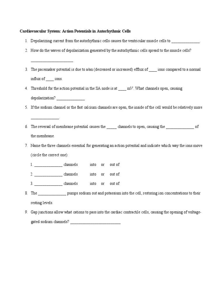 Cardiovascular - IP - Action Potentials in Autorhythmic Cells ...