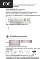 Denver II (Chart) | PDF
