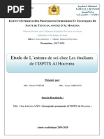 Guide du PFE à l'ISPITS Oujda | PDF | Allaitement | Microsoft Word