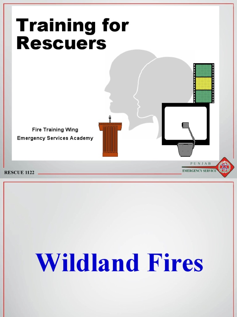 Wild Land New Format | PDF | Wildfire | Firefighter