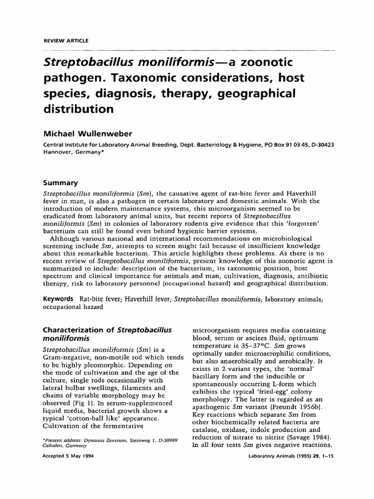 Rat Bite Fever - Wullenweber | PDF | Infection | Medicine