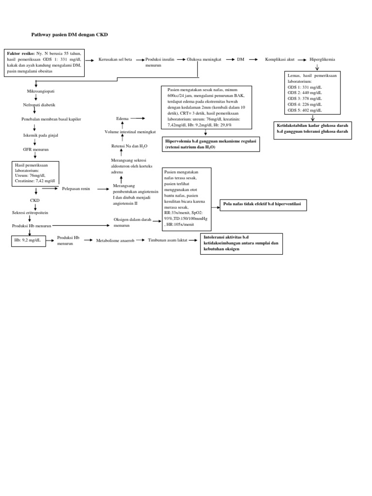 Pathway Pasien DM Dengan CKD-1 | PDF