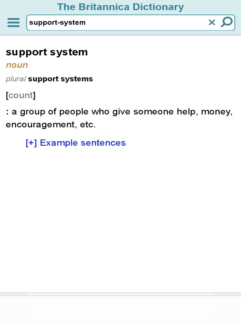 Support System Definition & Meaning Britannica Dictionary | PDF