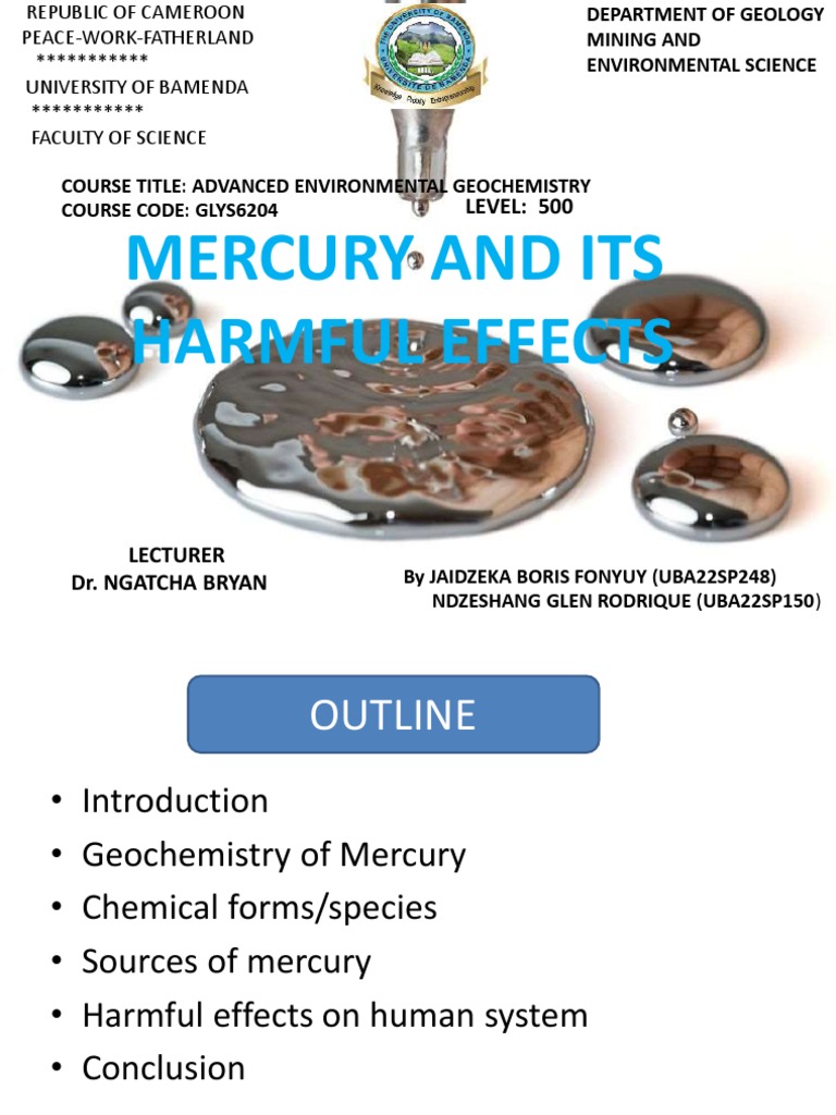 Human Health Risks of Mercury Exposure | PDF