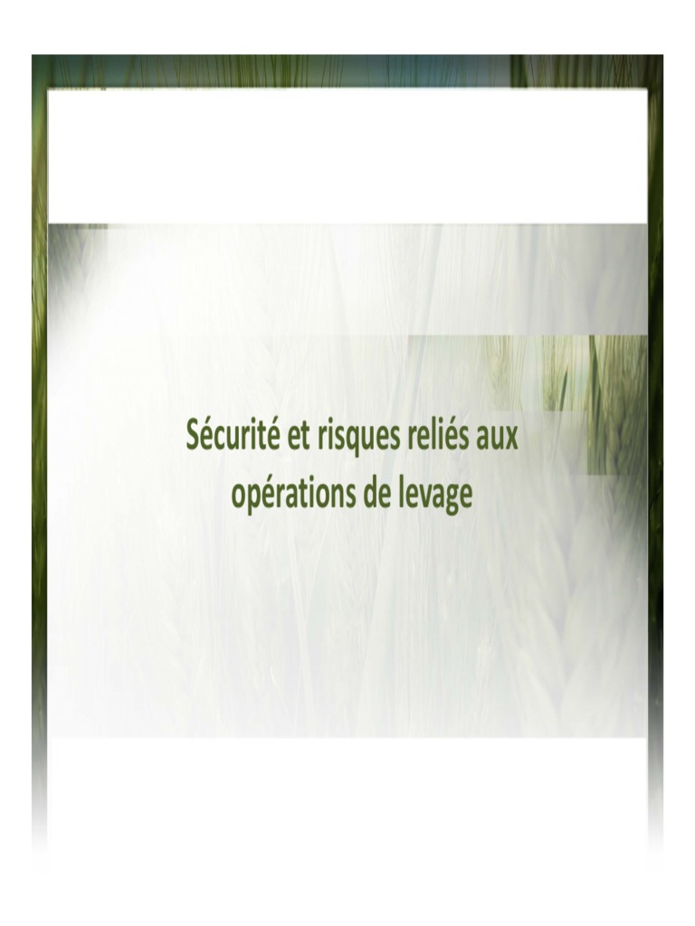 SST 2 | PDF | Grue (Machine) | Sécurité