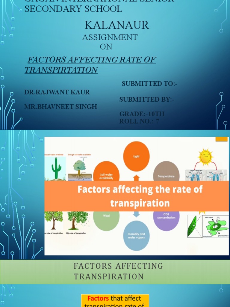On Factors Affrcting The Rate of Transpirtation Submmited by Bhavneet ... On Factors Affrcting The Rate of Transpirtation Submmited by Bhavneet ...