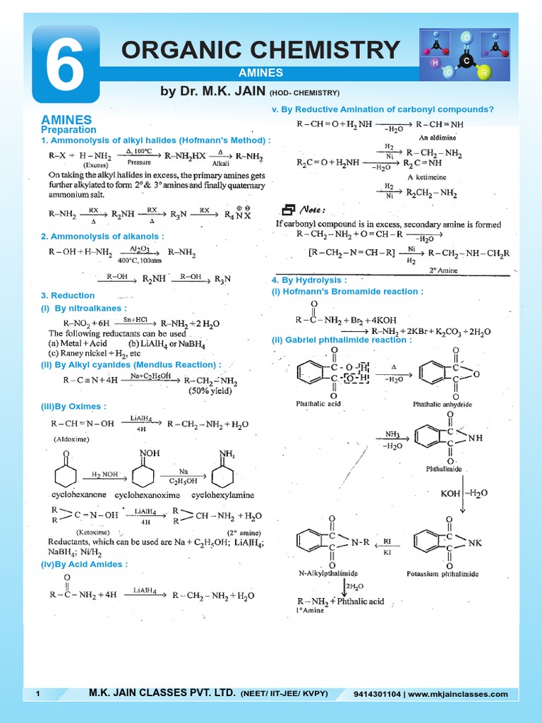 Amines | PDF | Amine | Chemical Reactions