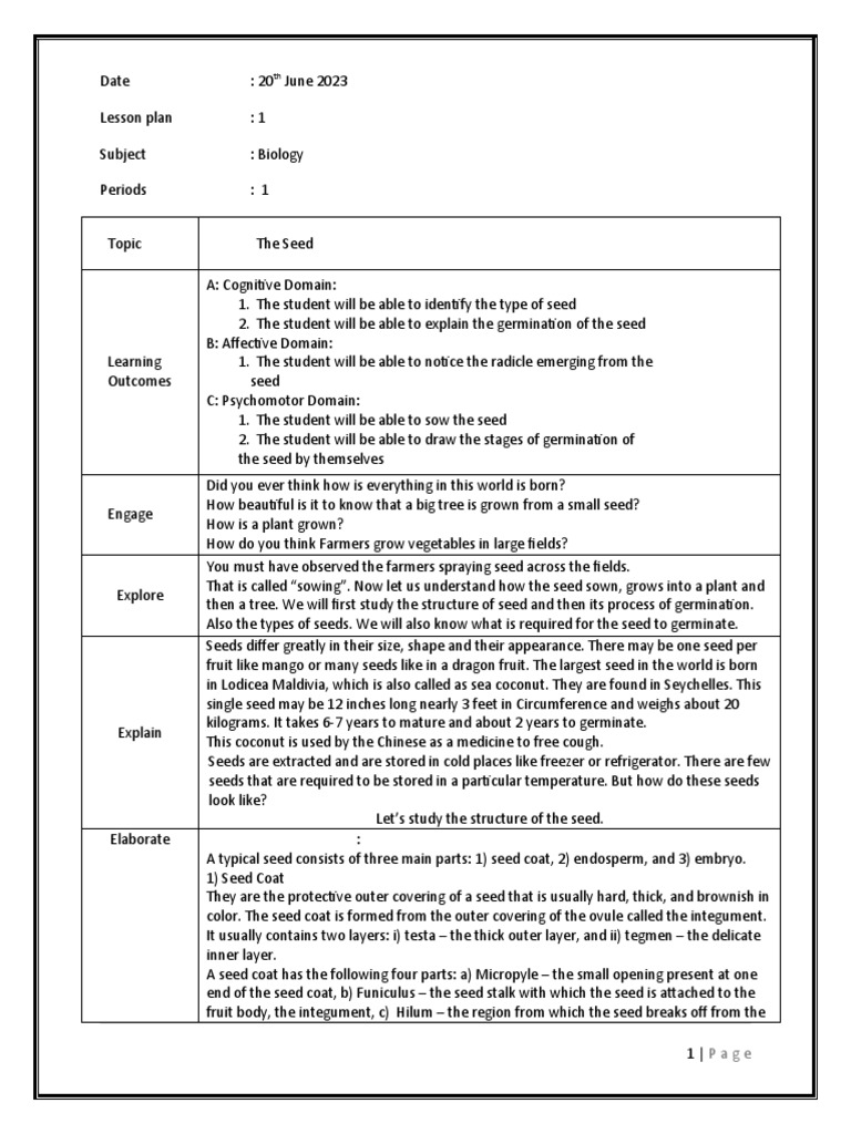 Seed Structure and Germination Plan | PDF | Seed | Germination