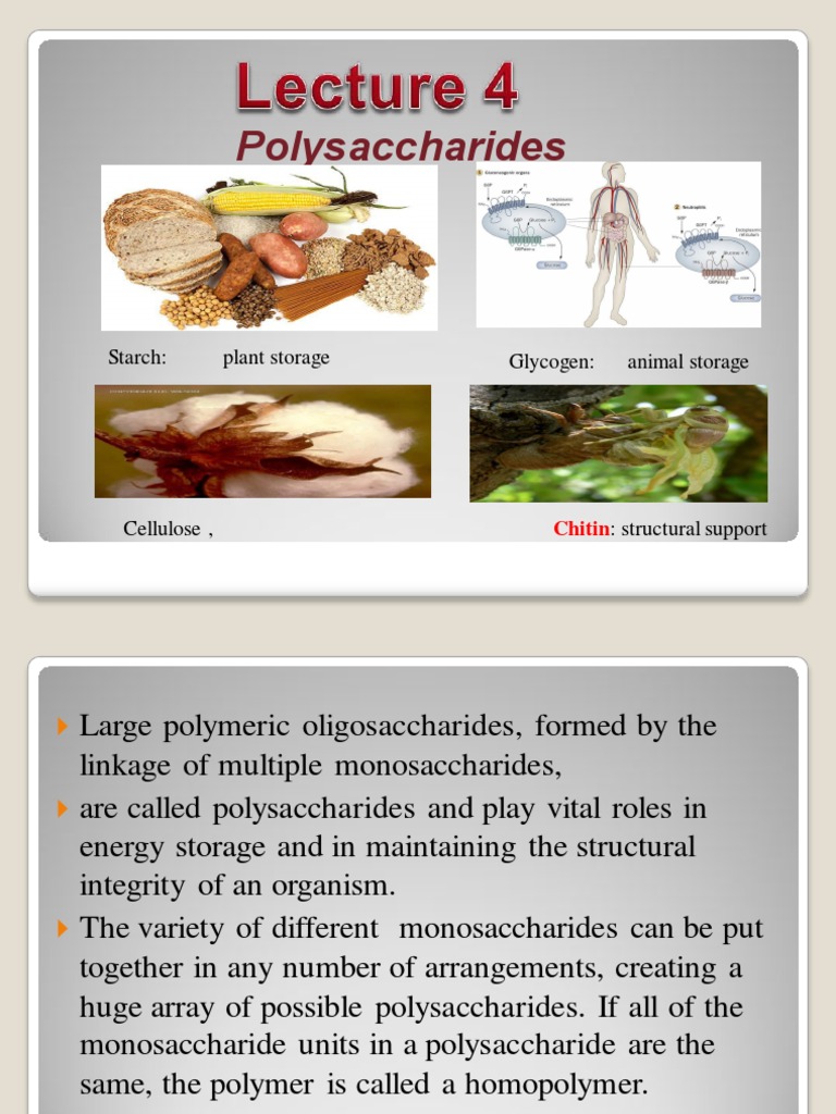 Lecture4 Biochemistry | PDF | Starch | Polysaccharide