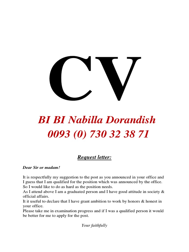 CV BiBi Nabila-1 | PDF