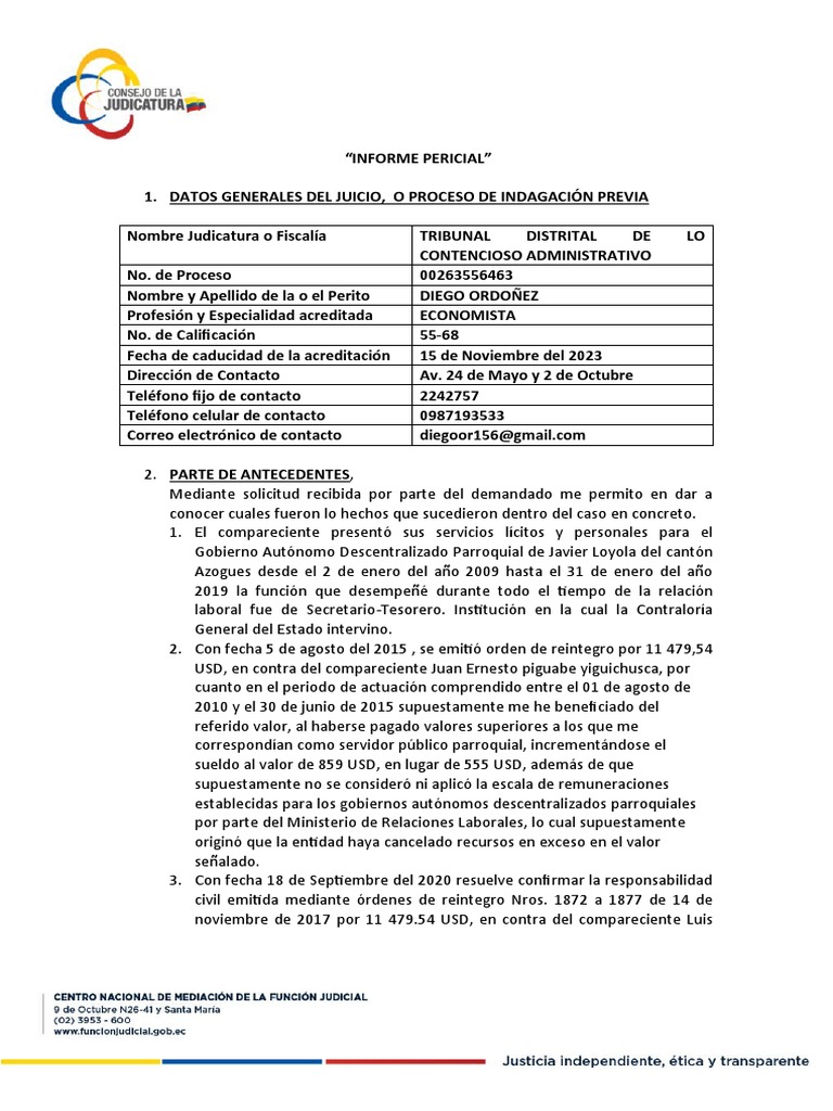 Formato de Informe Pericial | PDF | Testigo experto