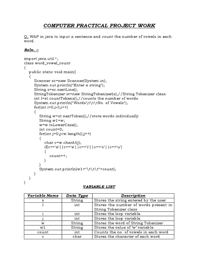 Computer Practical Project Work | PDF | String (Computer Science) | Software