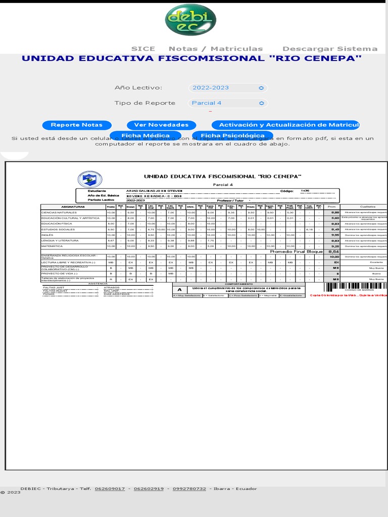 Sice | PDF