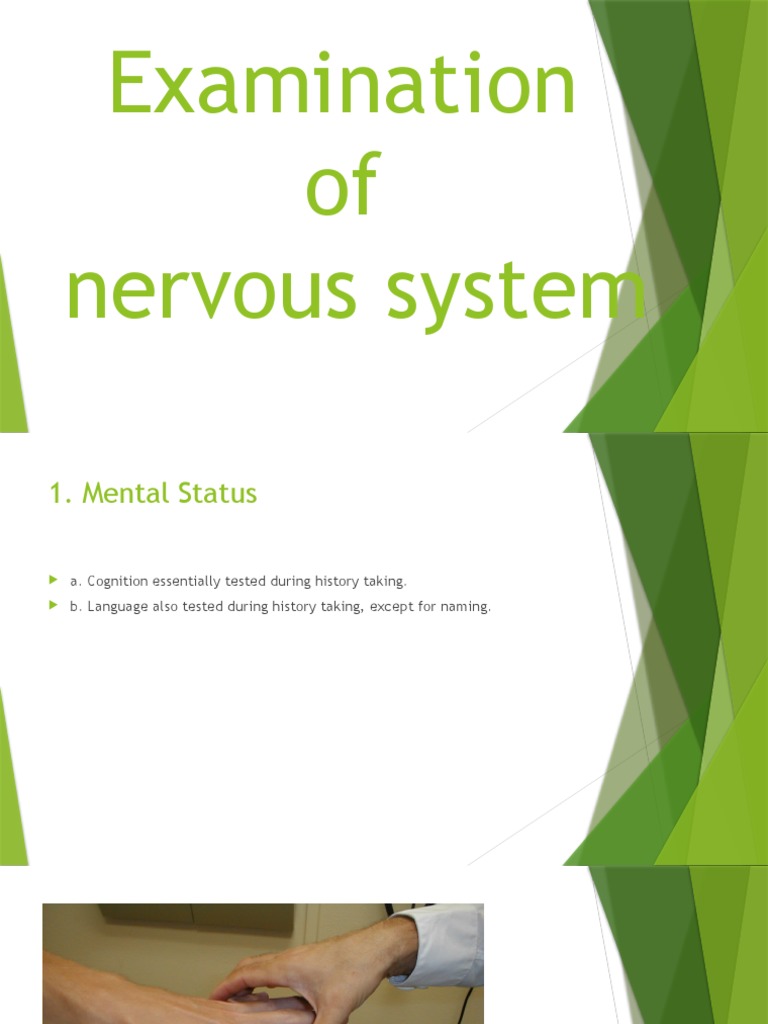 Examination of Nervous System | PDF | Neurology | Neurological Disorders
