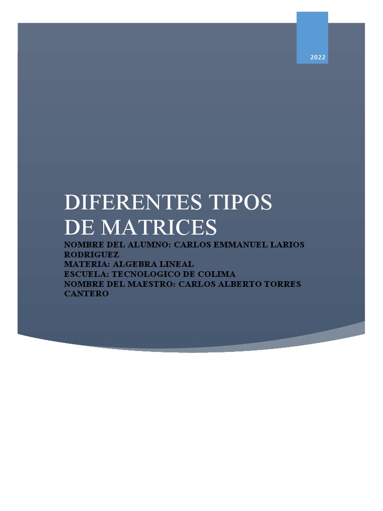 DIFERENTES TIPOS DE MATRICES | PDF | Matriz (Matemáticas) | Matemáticas