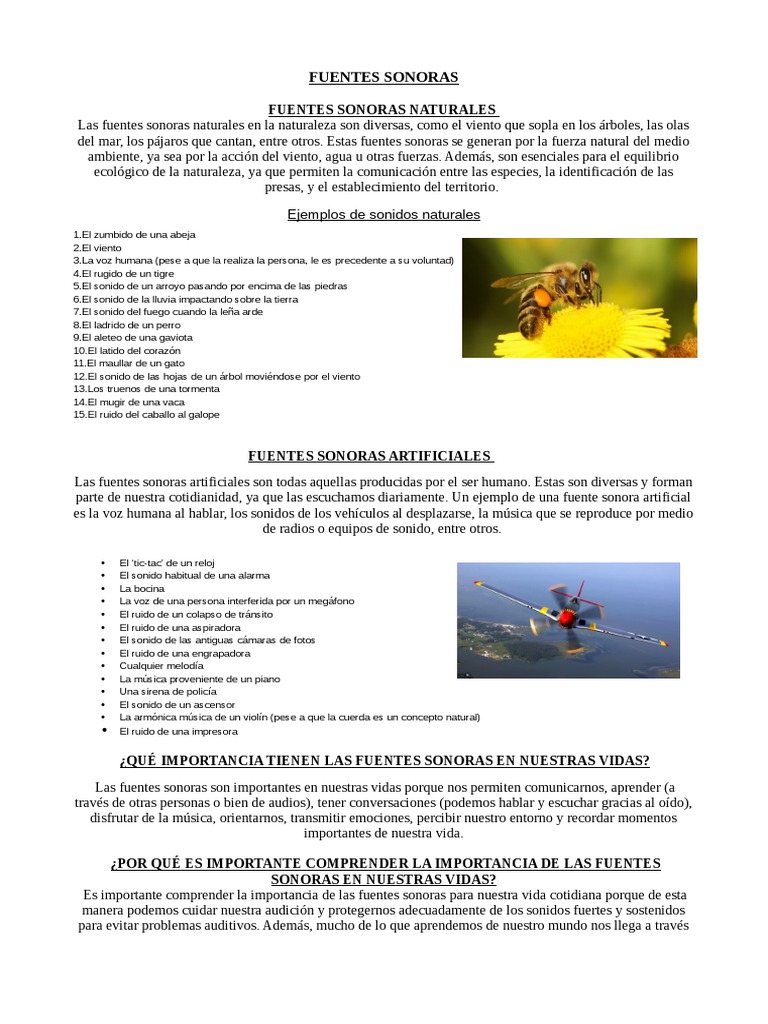 HOJA3 | PDF | Sonido | Escuchando