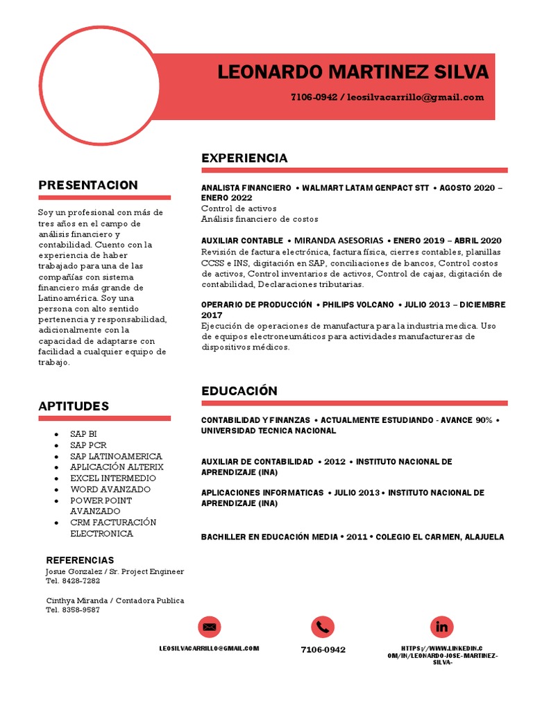 CV Leonardo Martinez Silva | PDF | Contabilidad | Business
