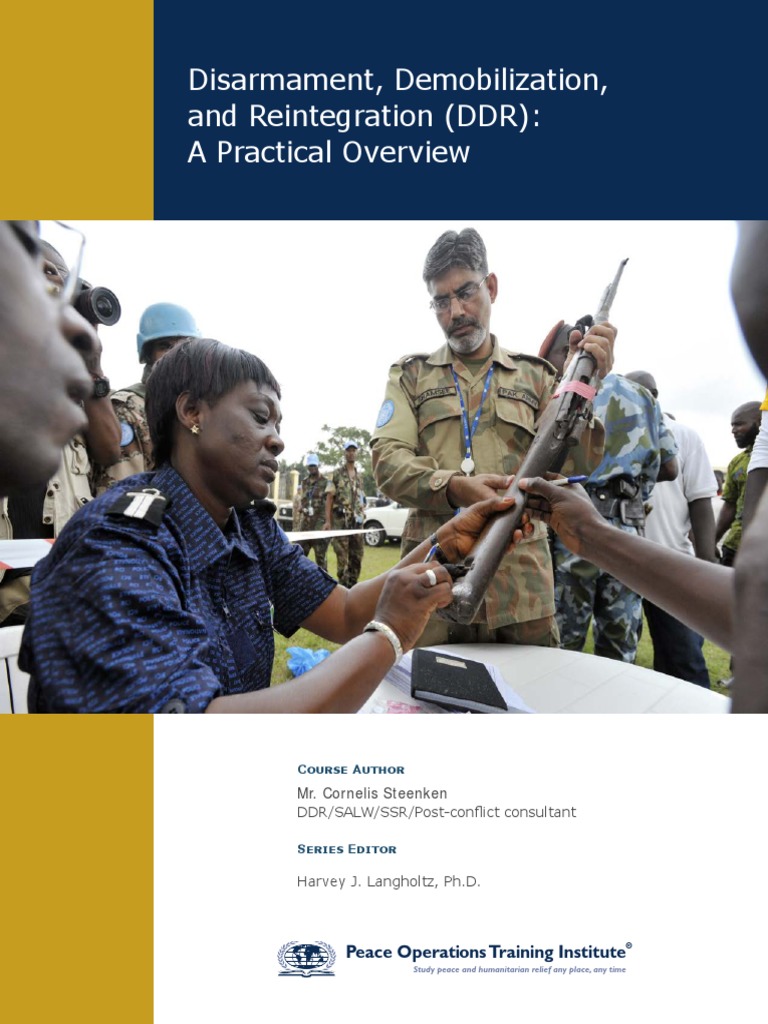 DDR English | PDF | Peacebuilding | United Nations